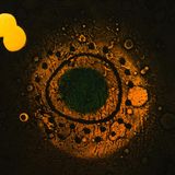 A Bonzo – Andeshandbook