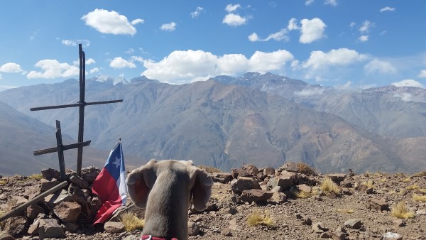 Libro de cumbre Cerro Canoitas - Andeshandbook