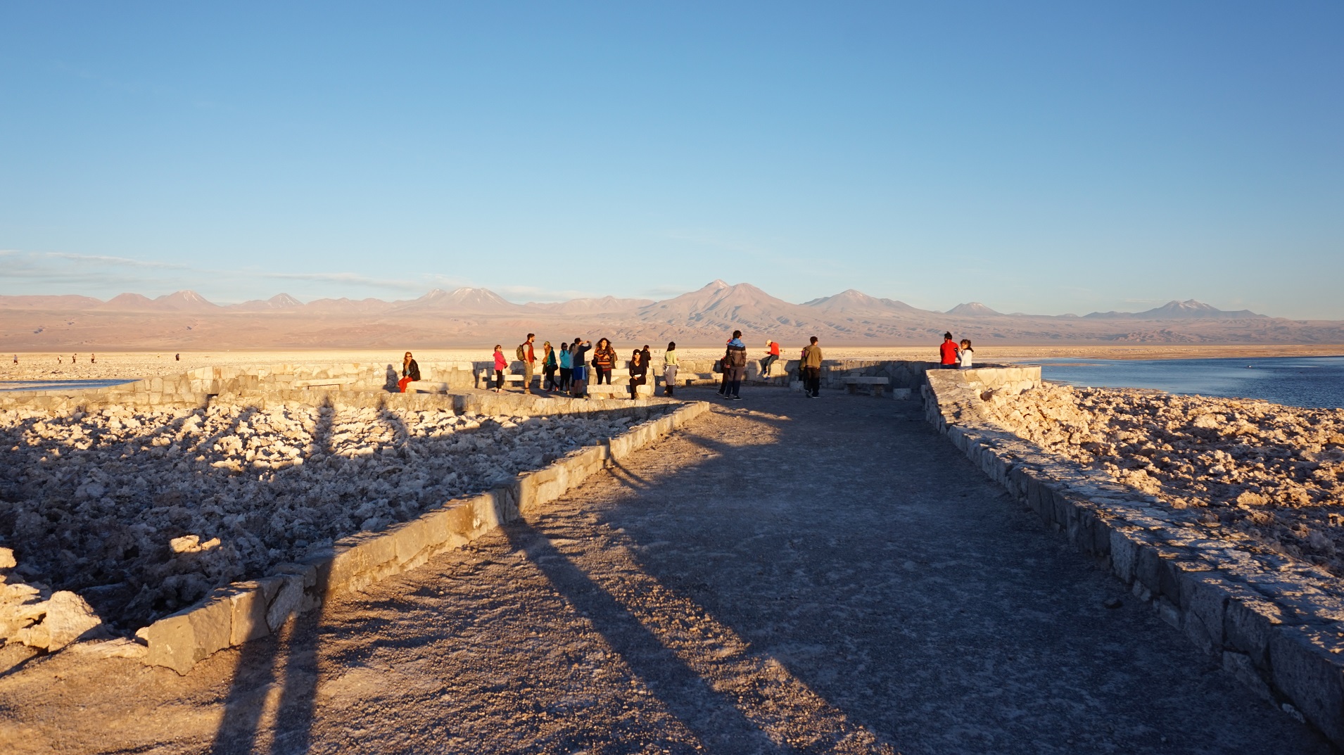 Reserva Nacional Los Flamencos - Laguna Chaxa - Andeshandbook