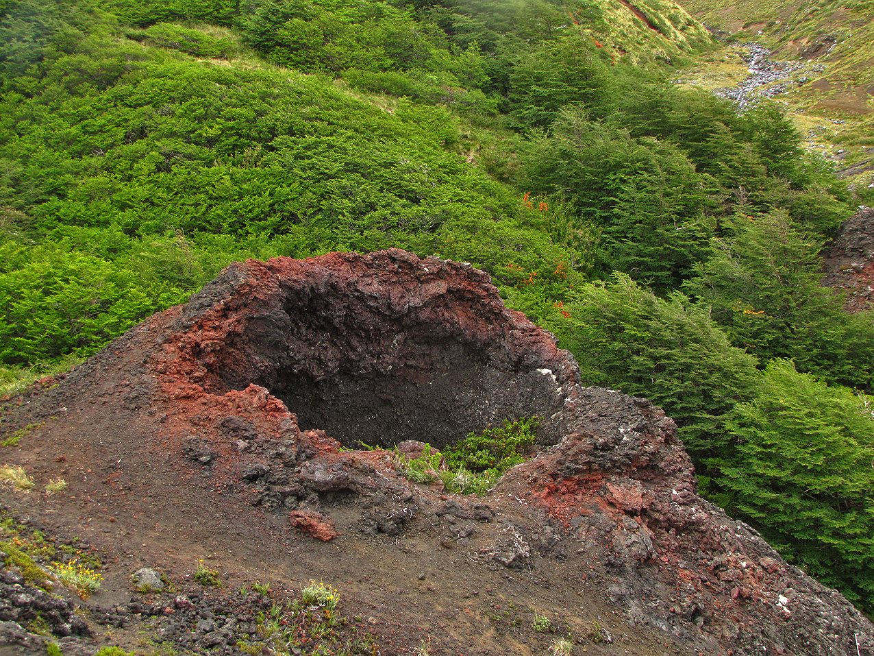 Parque Nacional Villarrica - Los Cráteres - Andeshandbook