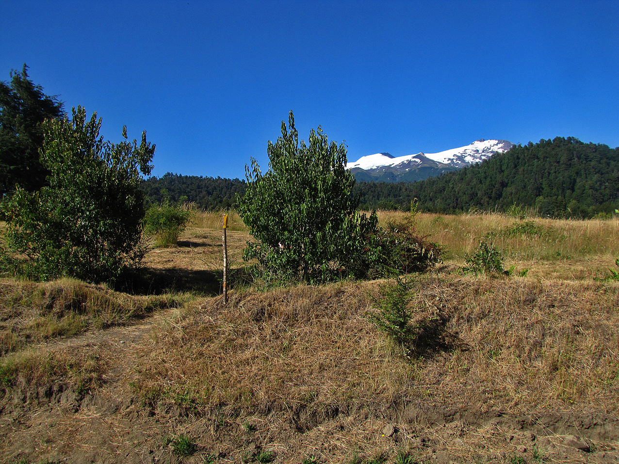 Reserva Biológica Huilo Huilo - Truful - Salto del Huilo Huilo ...