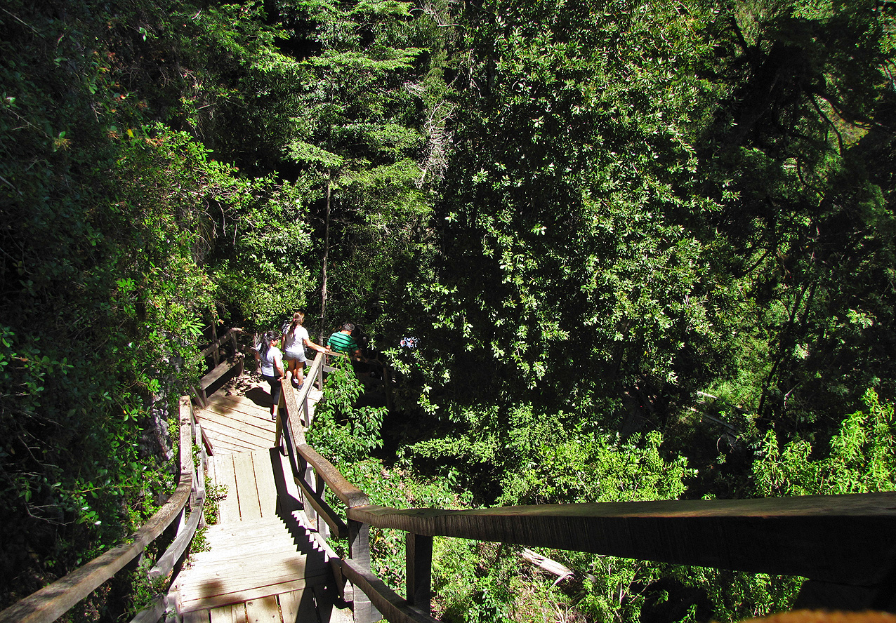 Reserva Biológica Huilo Huilo - Truful - Salto del Huilo Huilo ...