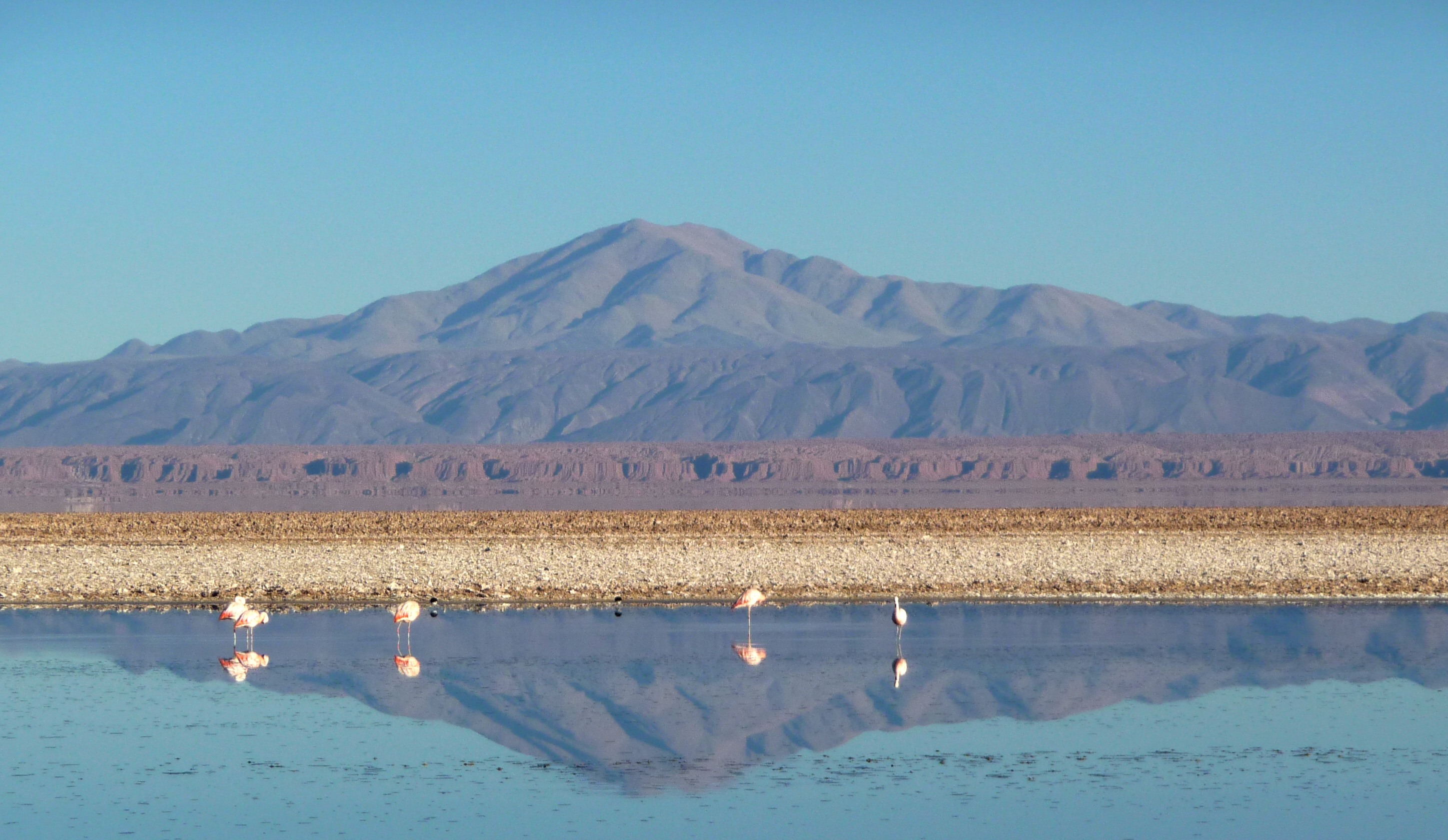 Cerro Quimal - Andeshandbook