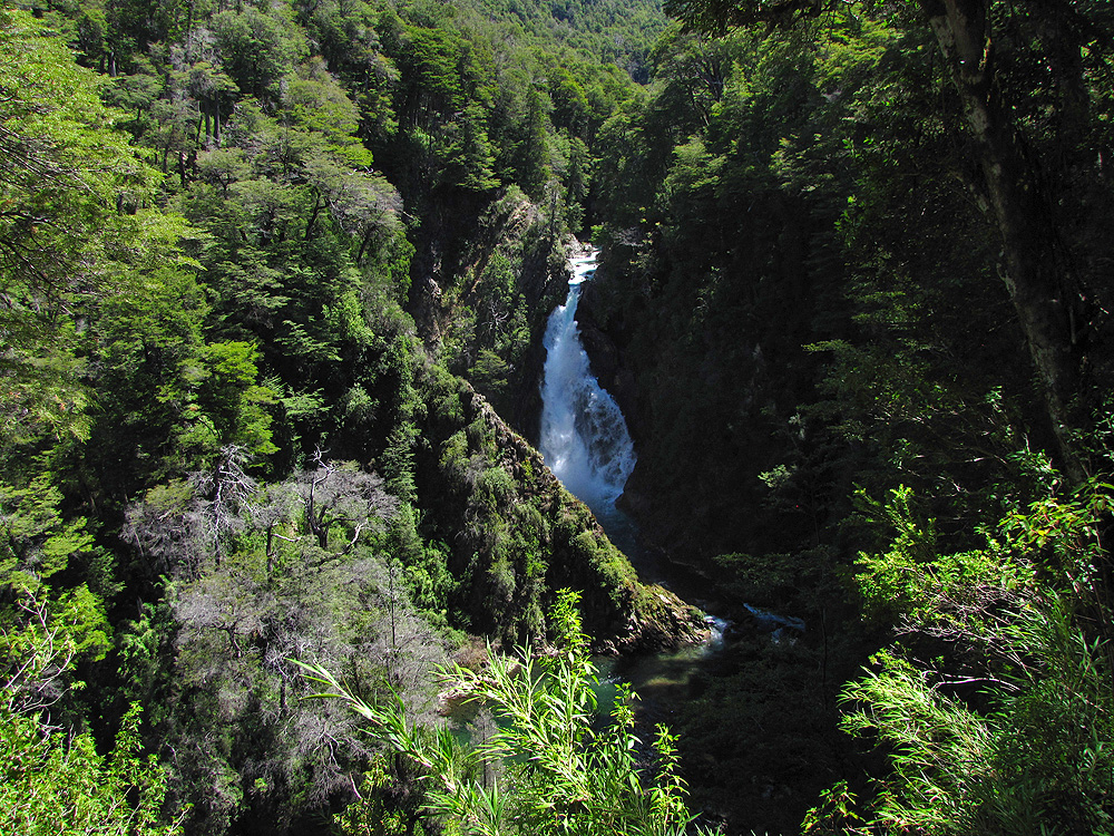 Parque Nacional Lanín - Sección Hua Hum - Cascada Chachín - Andeshandbook