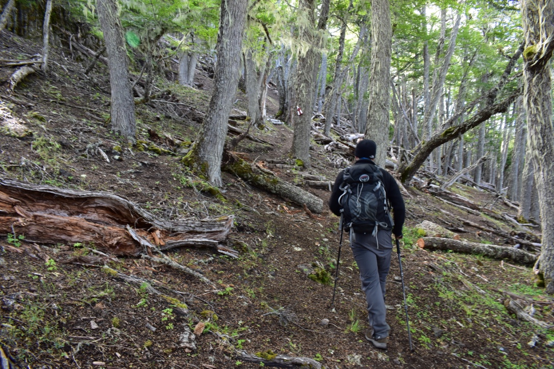 Parque Karukinka - Pietro Grande - Andeshandbook