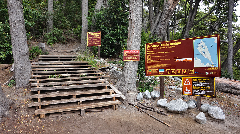 Parque Nacional Los Arrayanes - Los Arrayanes - Andeshandbook