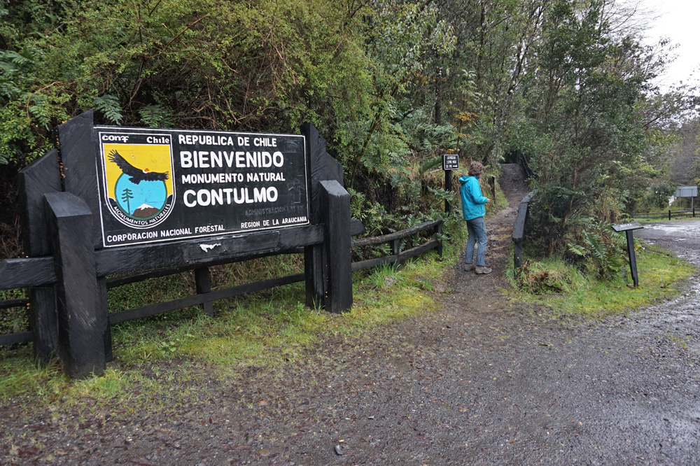 Monumento Natural Contulmo - Lemu Mau - Andeshandbook