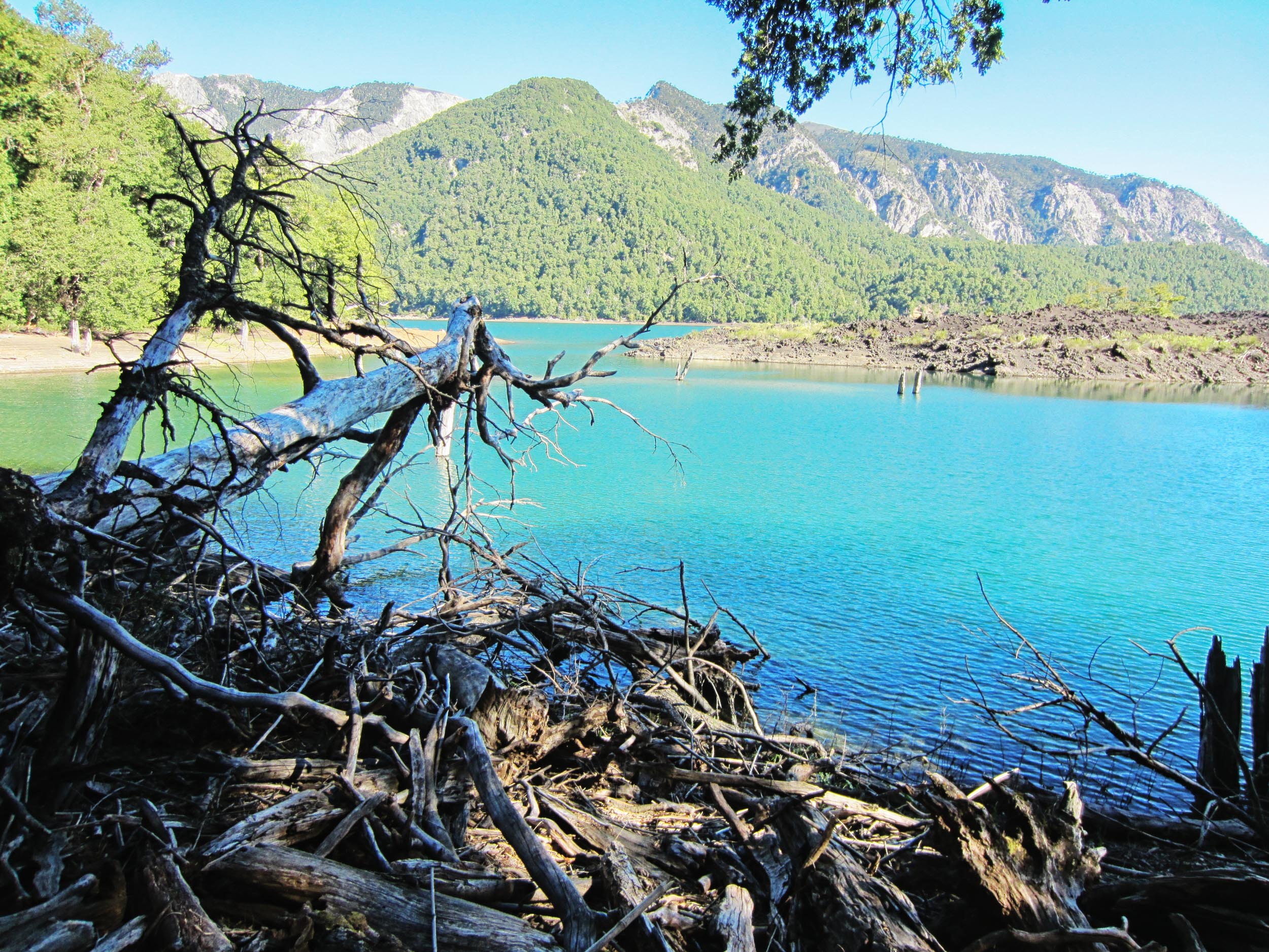 Parque Nacional Conguillío - La Ensenada - Laguna Verde - Andeshandbook