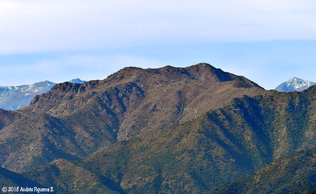 Cerro Alto Los Lunes - Andeshandbook