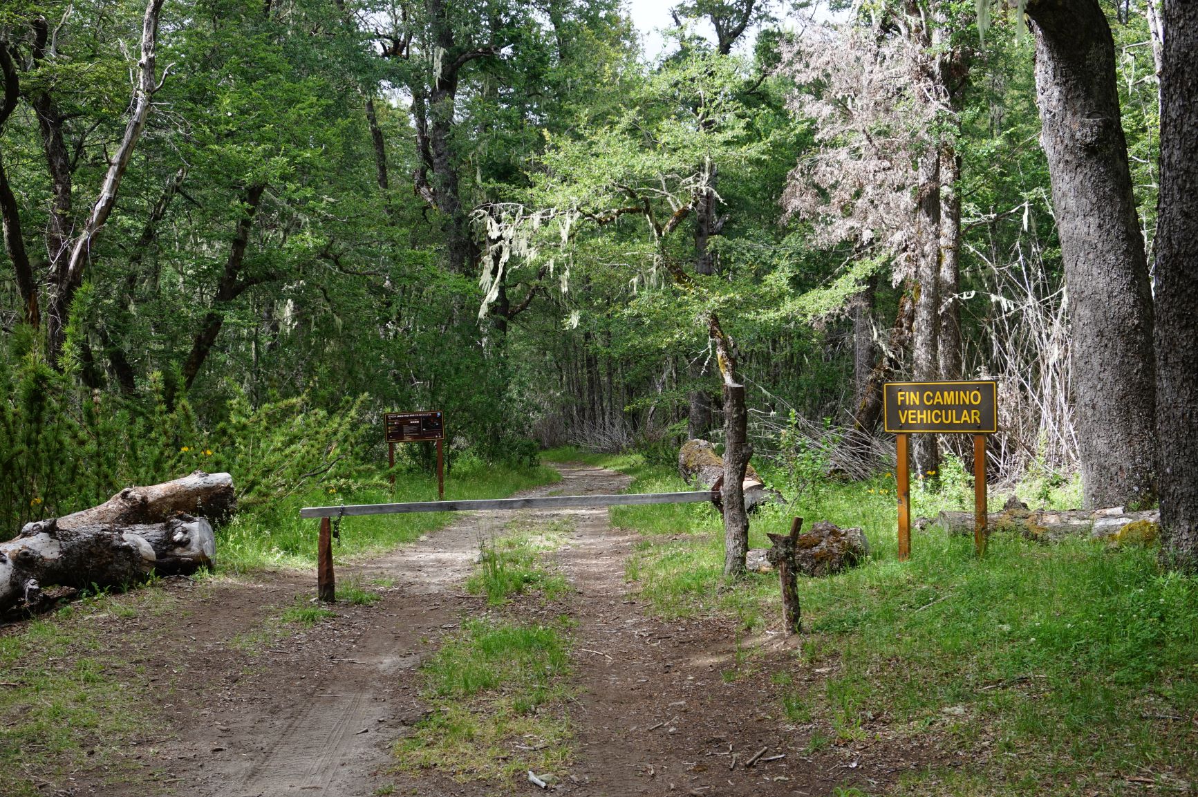 Parque Nacional Lanín - Lago Hui Hui - Andeshandbook