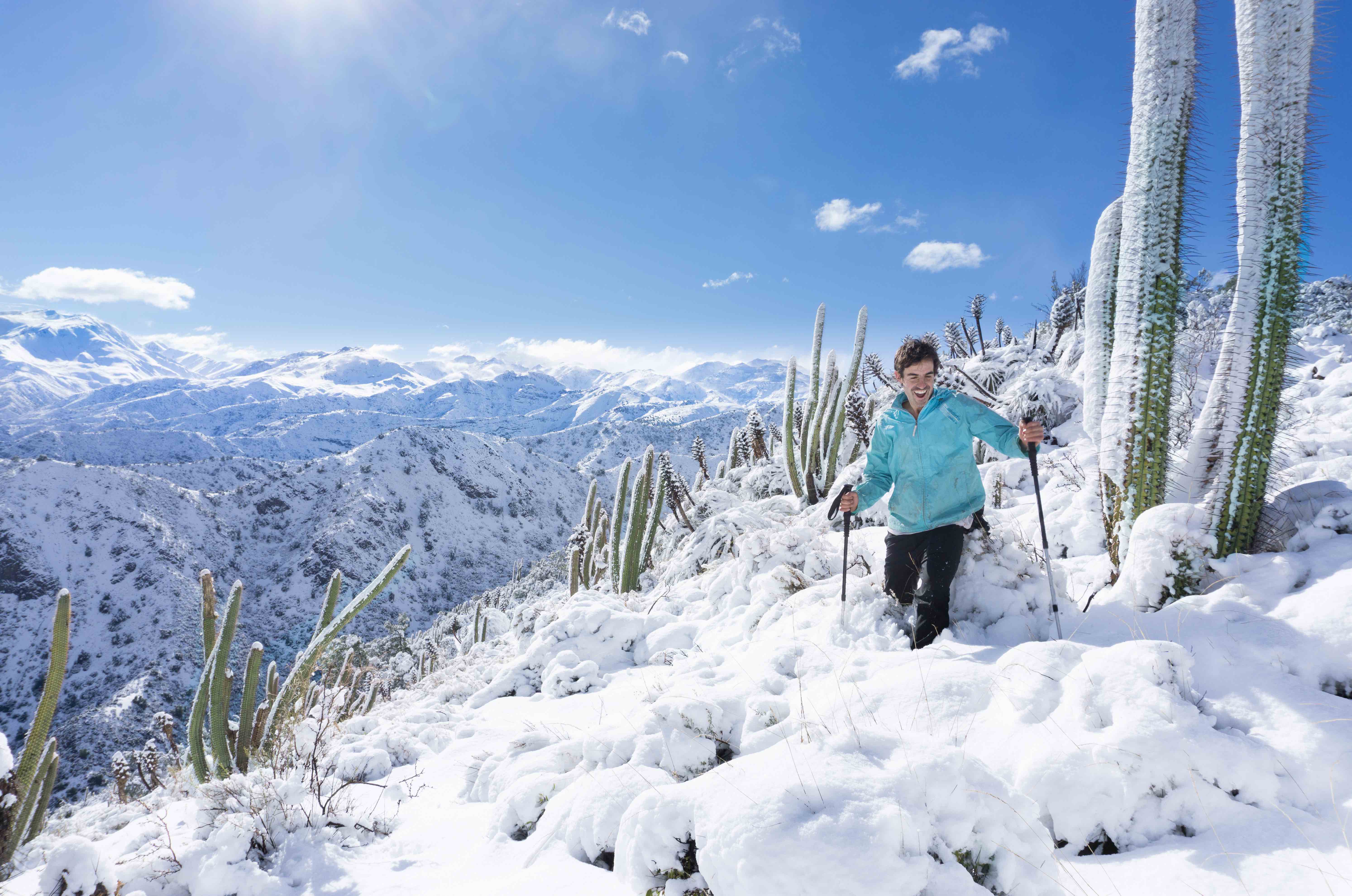 Galería Cerro Pochoco - Andeshandbook