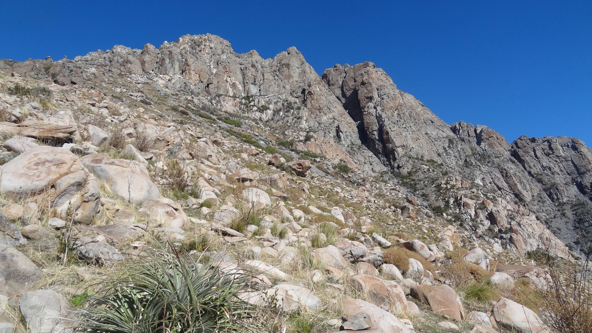Cerro Talamí - Andeshandbook