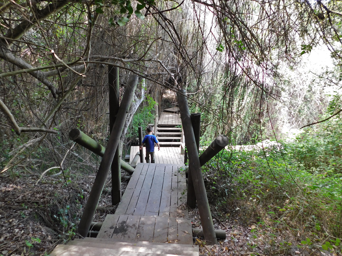 Parque Tricao - Tranque Tricao y Humedal Giverny - Andeshandbook