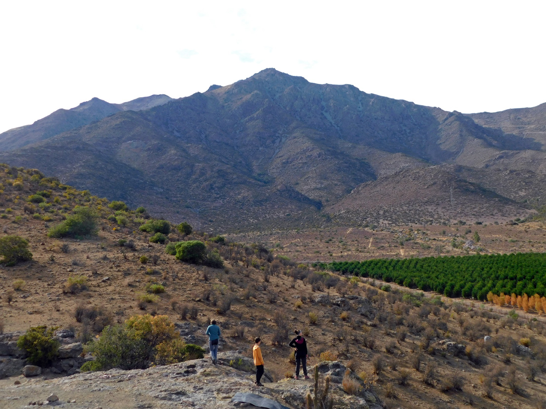 Cerro Maitén - Andeshandbook
