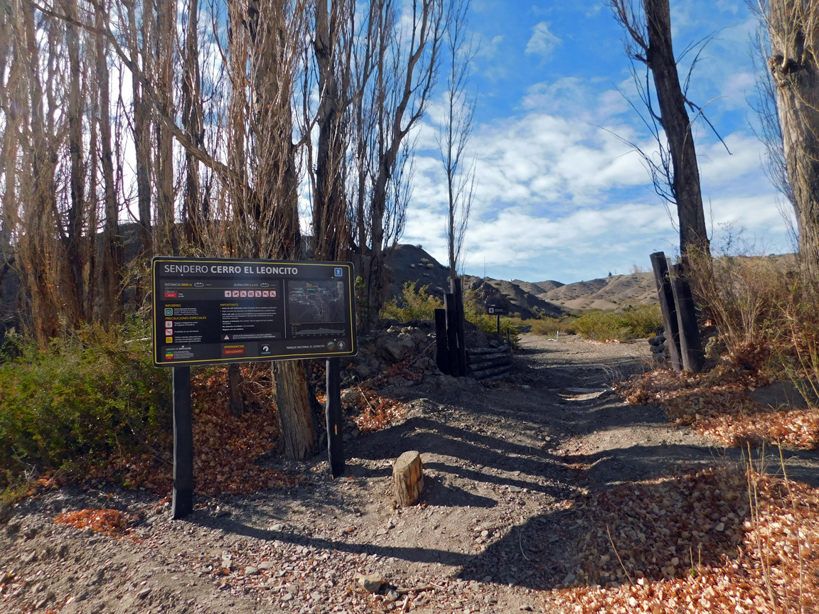 Cerro El Leoncito - Normal - Andeshandbook