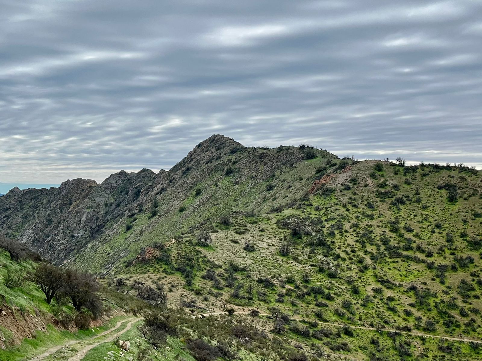 Morro Blanco - Andeshandbook