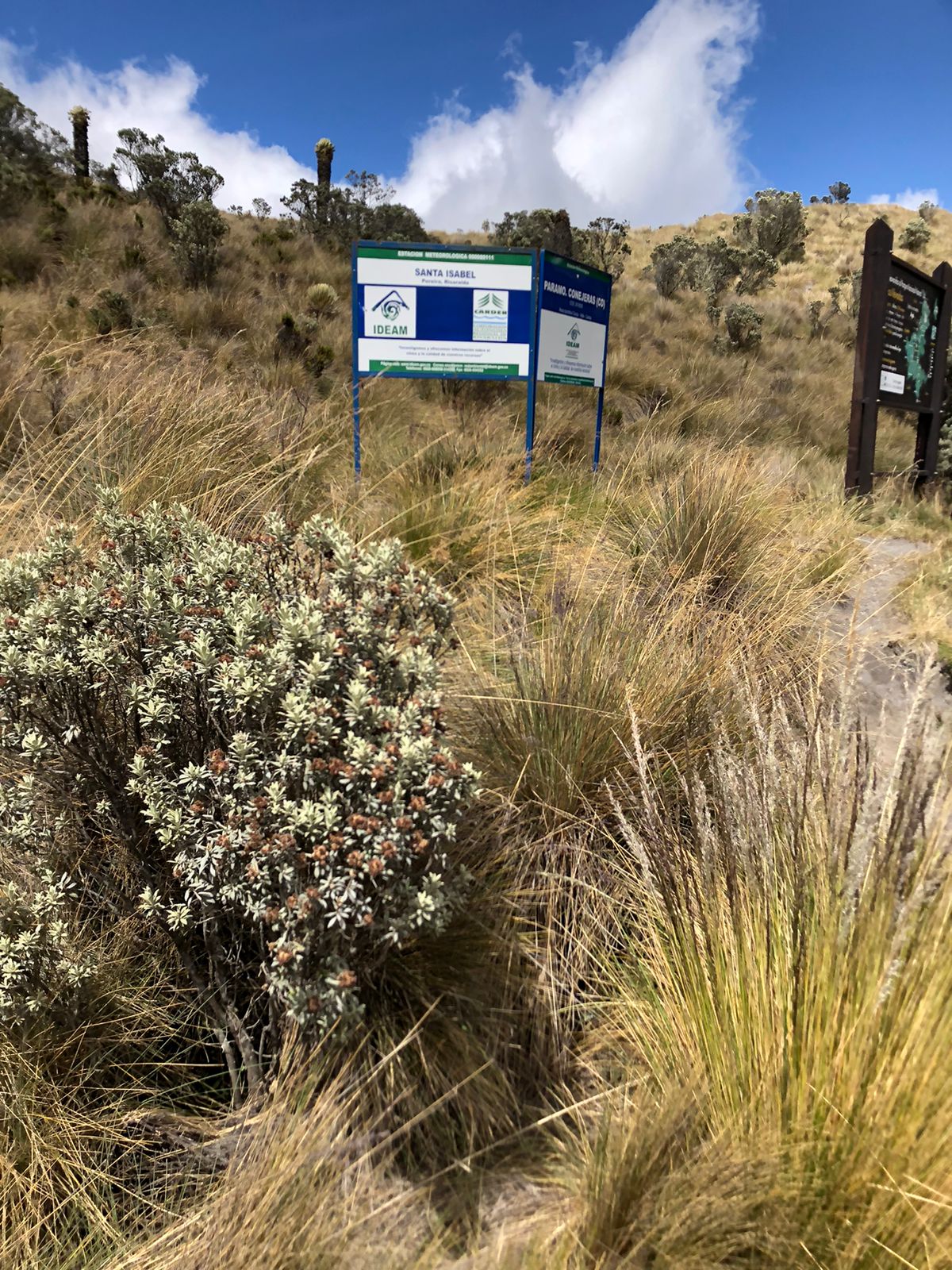 Nevado Santa Isabel - Normal a Cumbre Norte - Andeshandbook