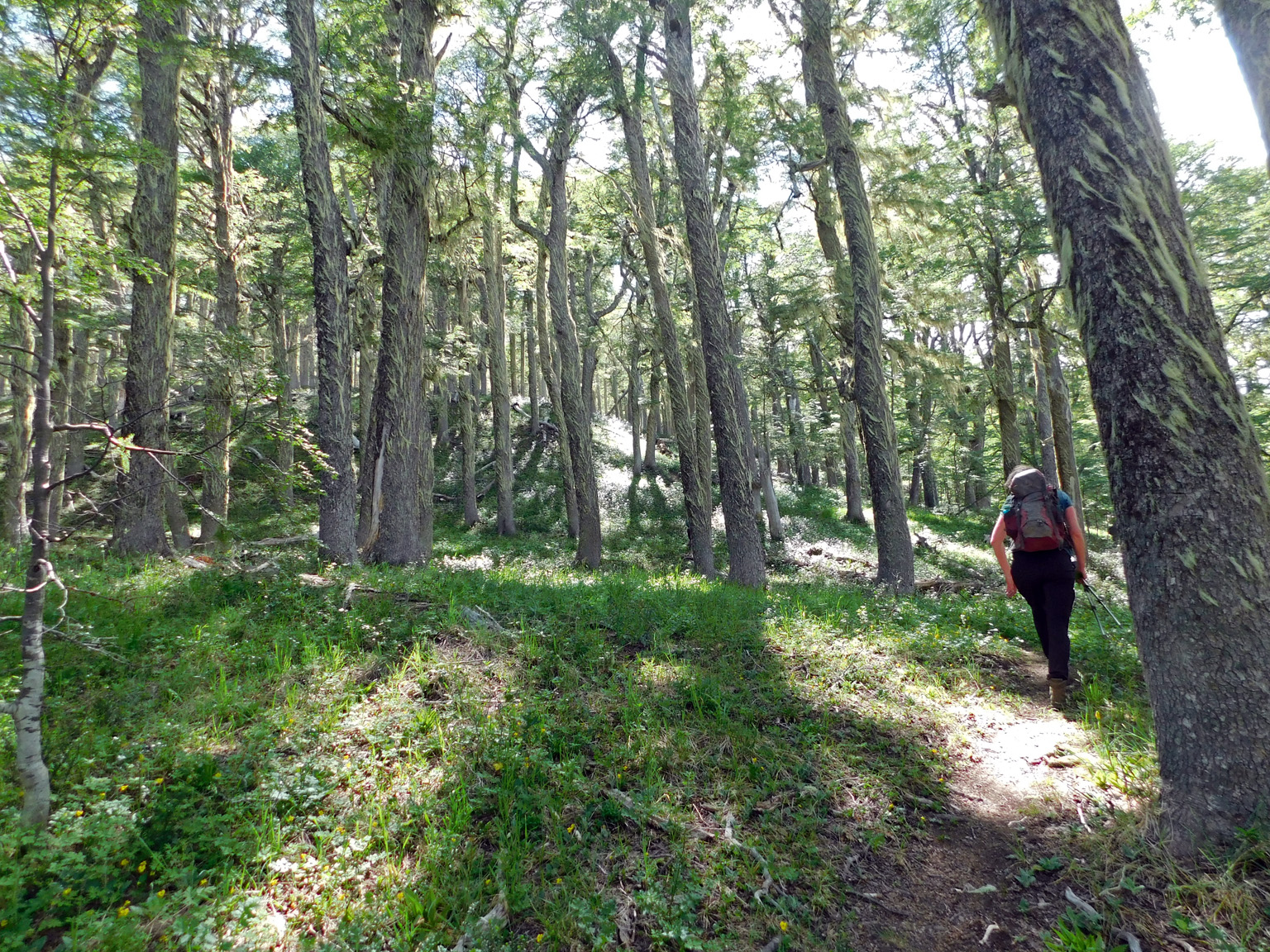 Cerro Huinca - Normal - Andeshandbook