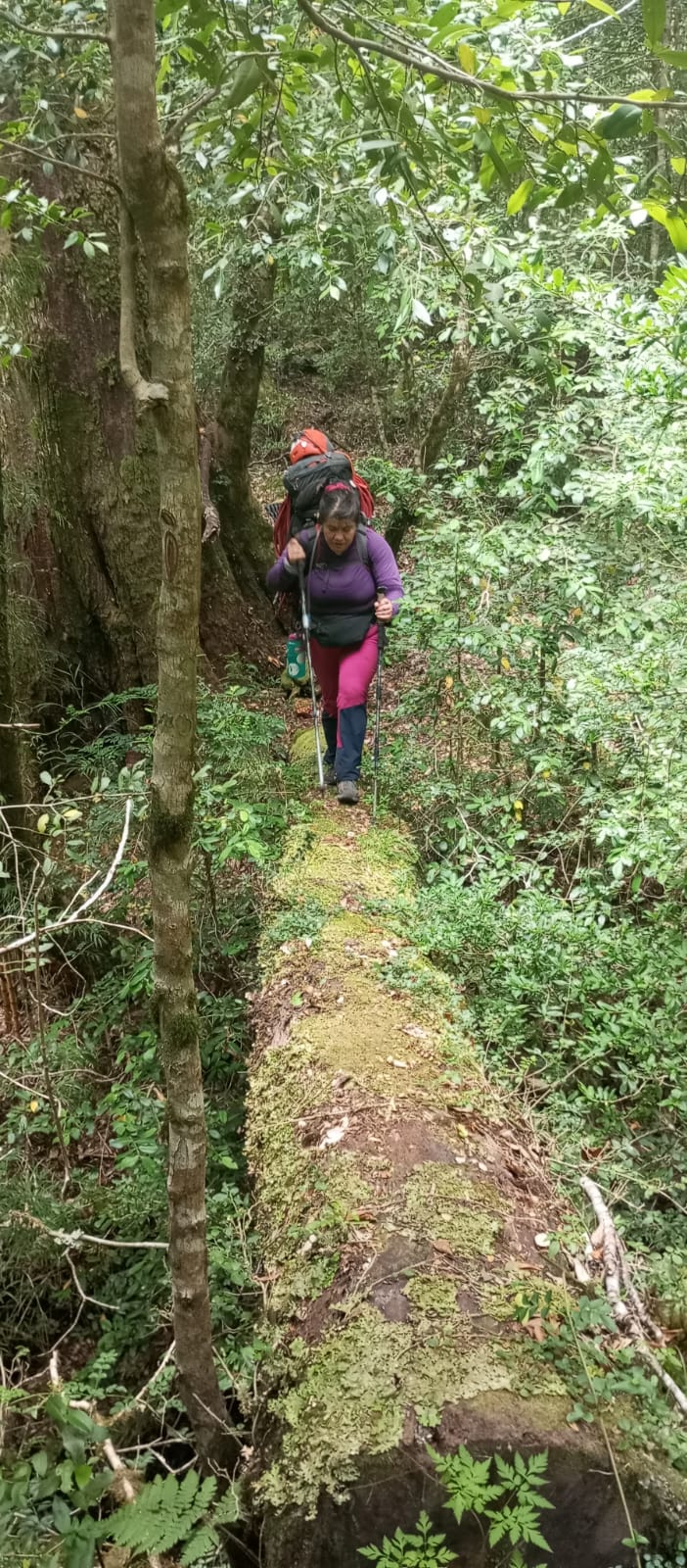 Cerro Queñi - Ruta Chilena - Andeshandbook