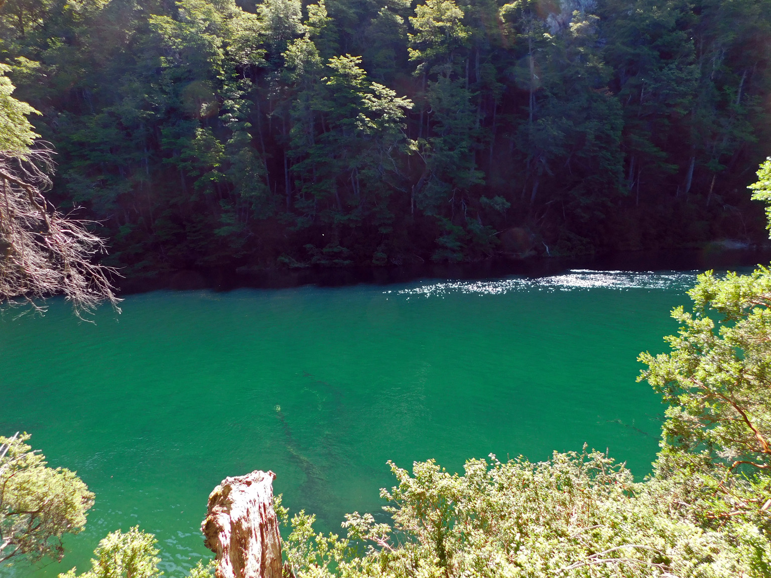 Parque Nacional Los Alerces - Río Rivadavia - Andeshandbook