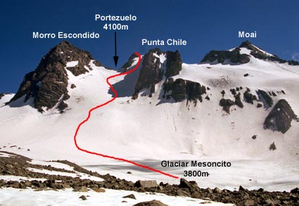 Punta Chile - Pacífico Sur - Andeshandbook