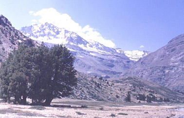 Cerro Sandra - Enigma de los Hielos - Andeshandbook