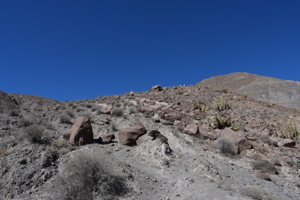 Cerro Chimaja - Normal desde Sibaya - Andeshandbook