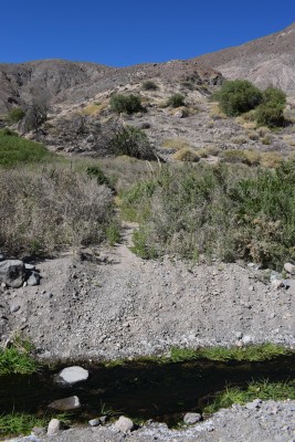 Cerro Chimaja - Normal desde Sibaya - Andeshandbook