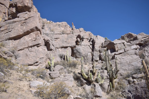 Cerro Chimaja - Normal desde Sibaya - Andeshandbook