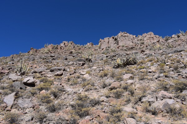 Cerro Chimaja - Normal desde Sibaya - Andeshandbook