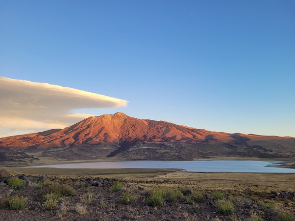 Volcán Tromen - Andeshandbook